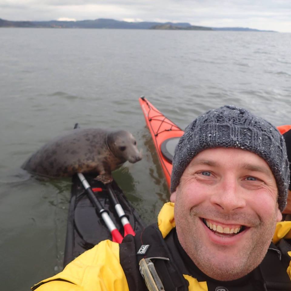 Seal hitches a ride on kayak on the Forth | News - Forth 1
