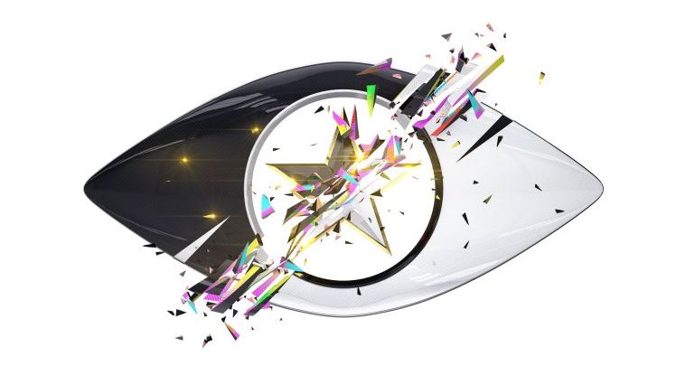 Two Big Brother contestants just welcomed a child together | Celebrity ...