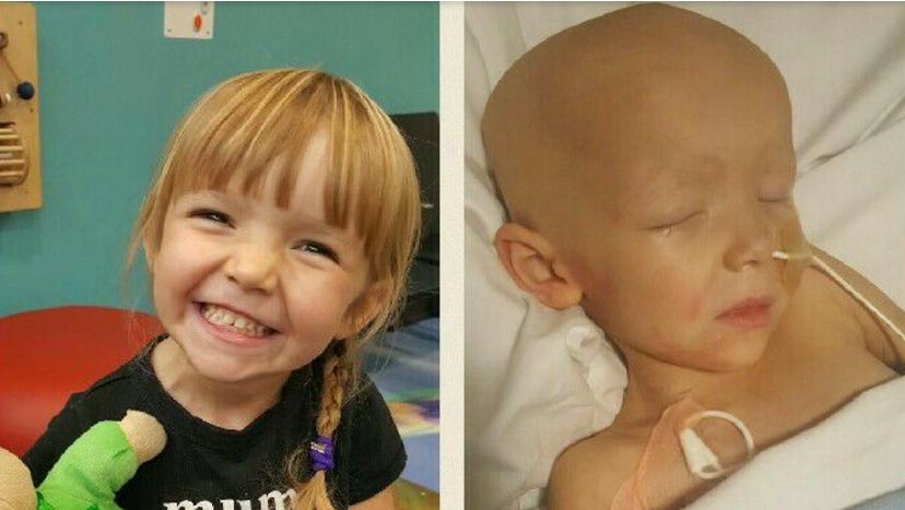 An "army" of people are taking on Born Survivor to raise money for a ...