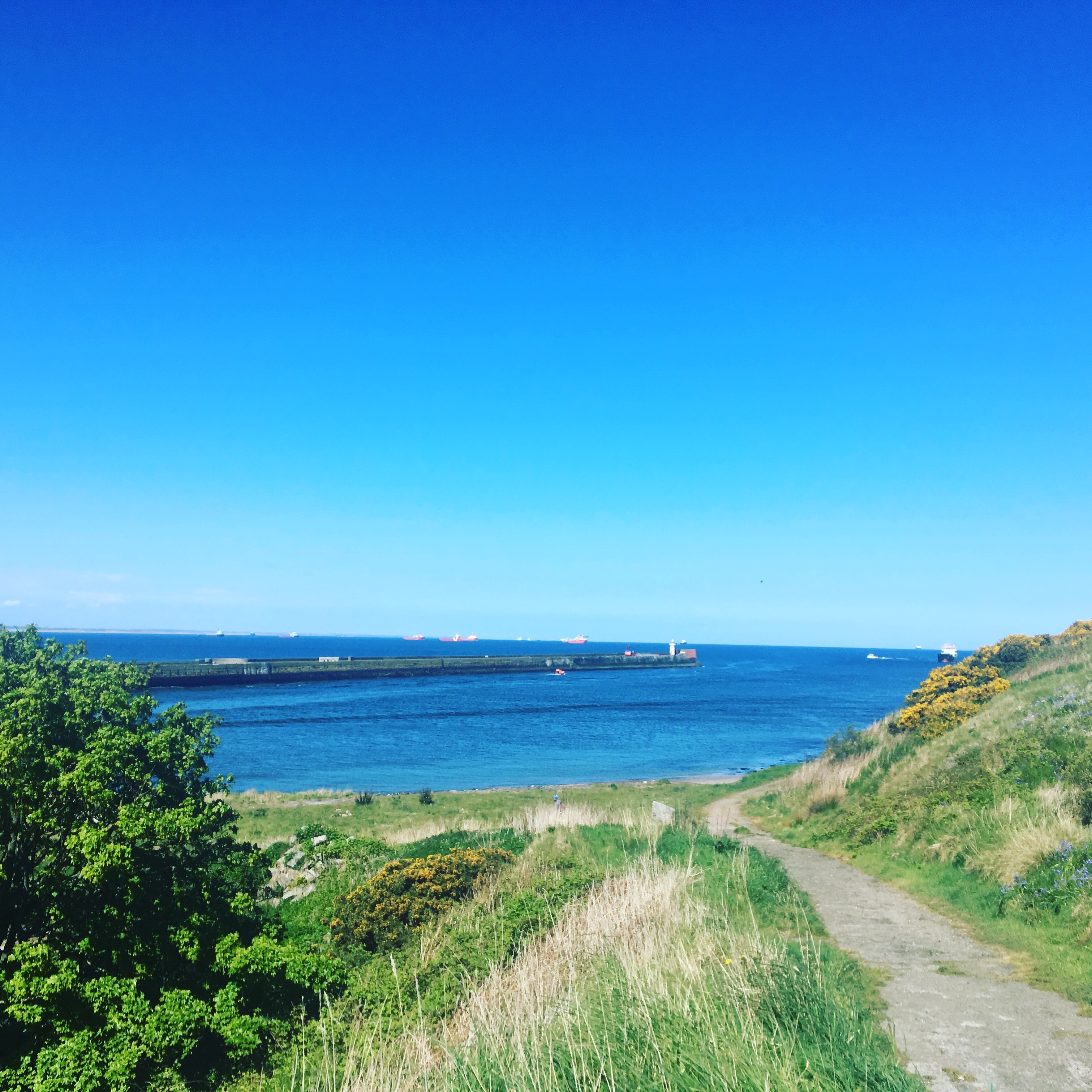 11 photos that prove how beautiful Aberdeen really is | Places Visit ...