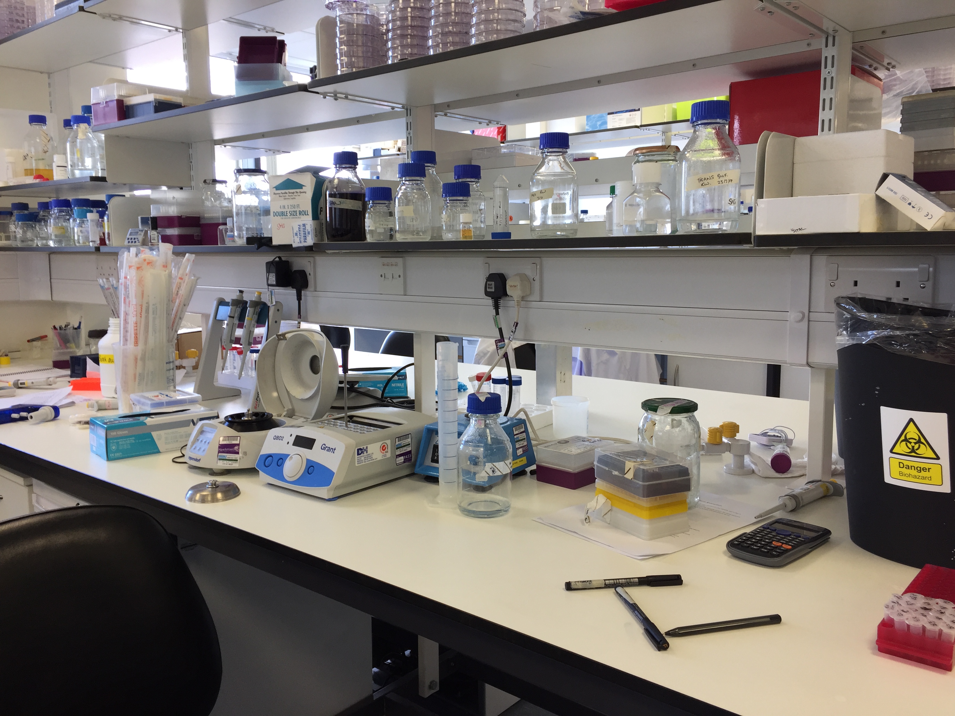 QUB hail 'breakthrough' in fight against bowel cancer | News - Cool FM