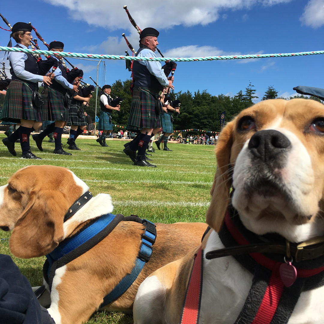 Sunshine and smiles for Stonehaven Highland Games | Events - Northsound 1