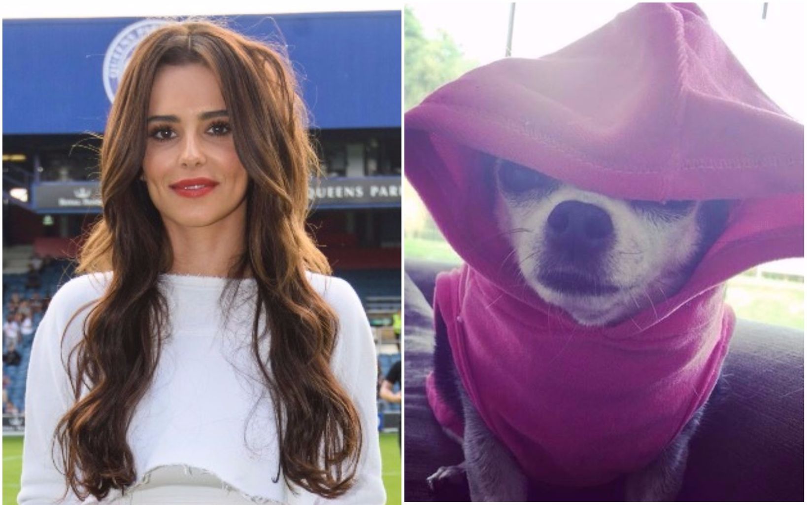 Cheryl reveals heartbreaking news about her beloved dog Coco ...