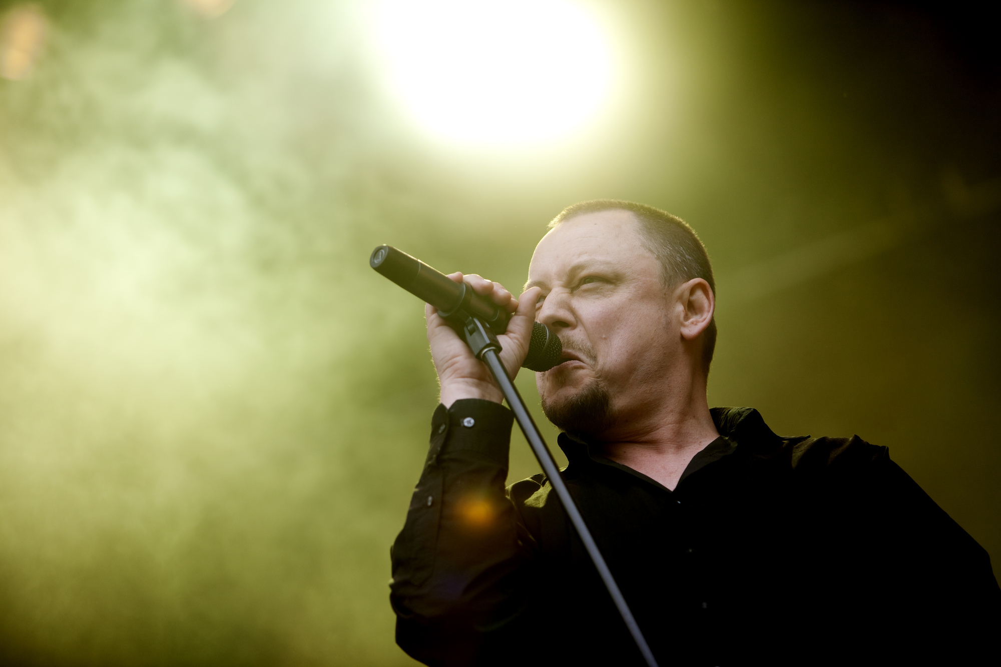 sy14405d.jpg?quality=80&format=jpg&crop=210,2,1333,1998&resize=crop