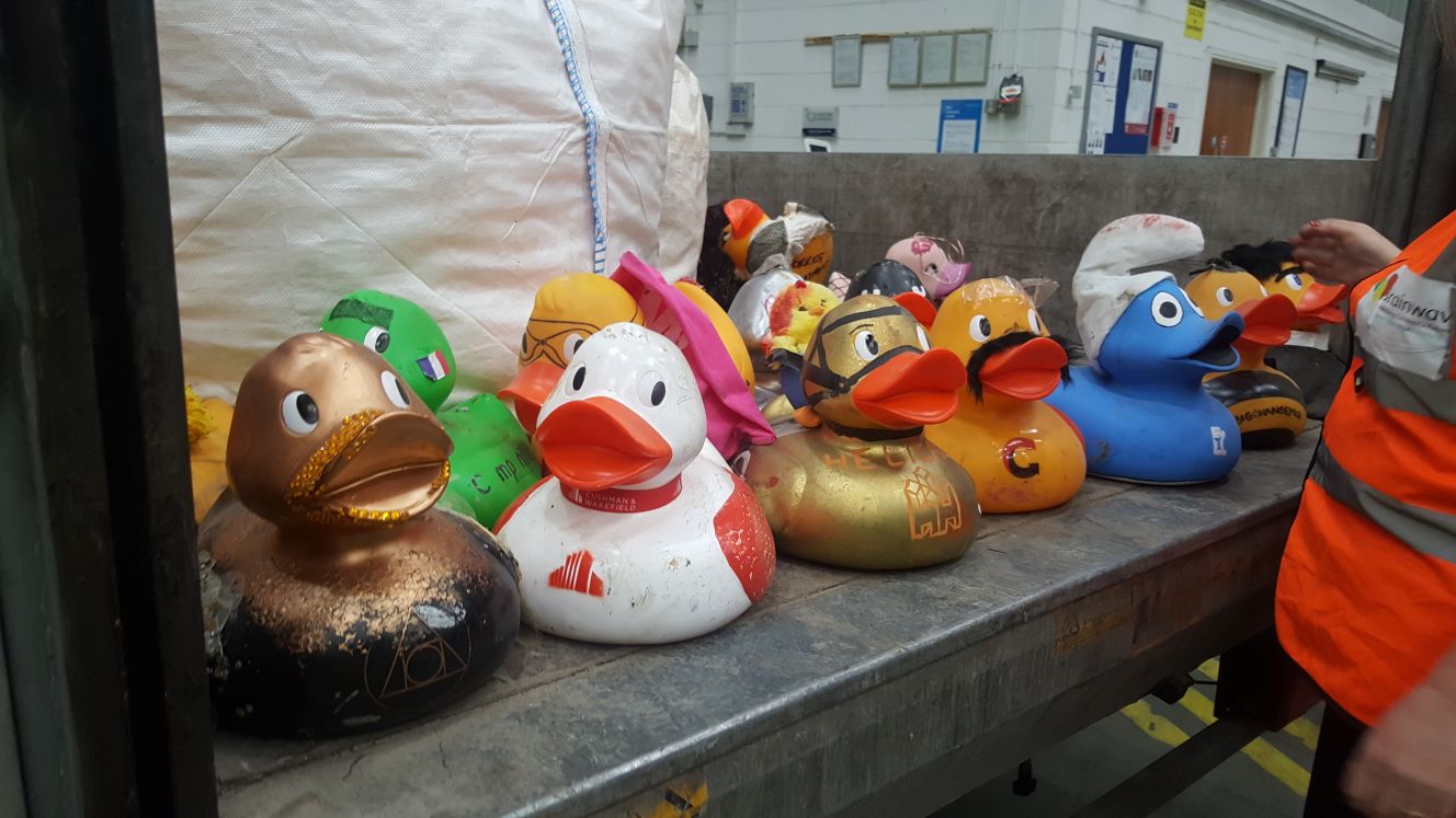 Manchester's famous duck race is at the centre of a mass recycling ...