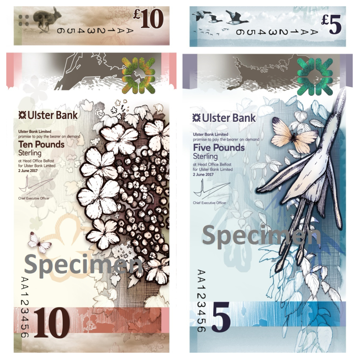 Ulster Bank reveals new vertical notes | News - Cool FM
