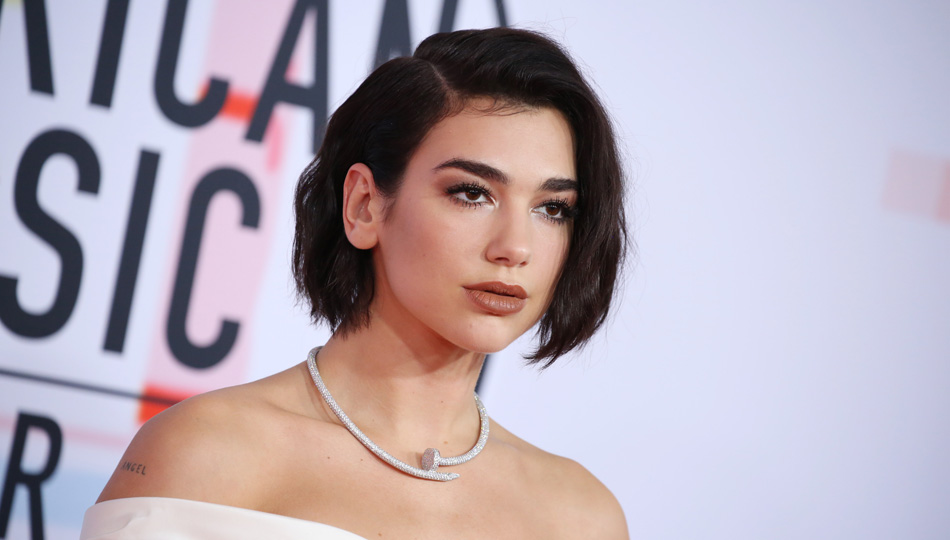 Dua Lipa: The singer shocked fans after doing a trust fall