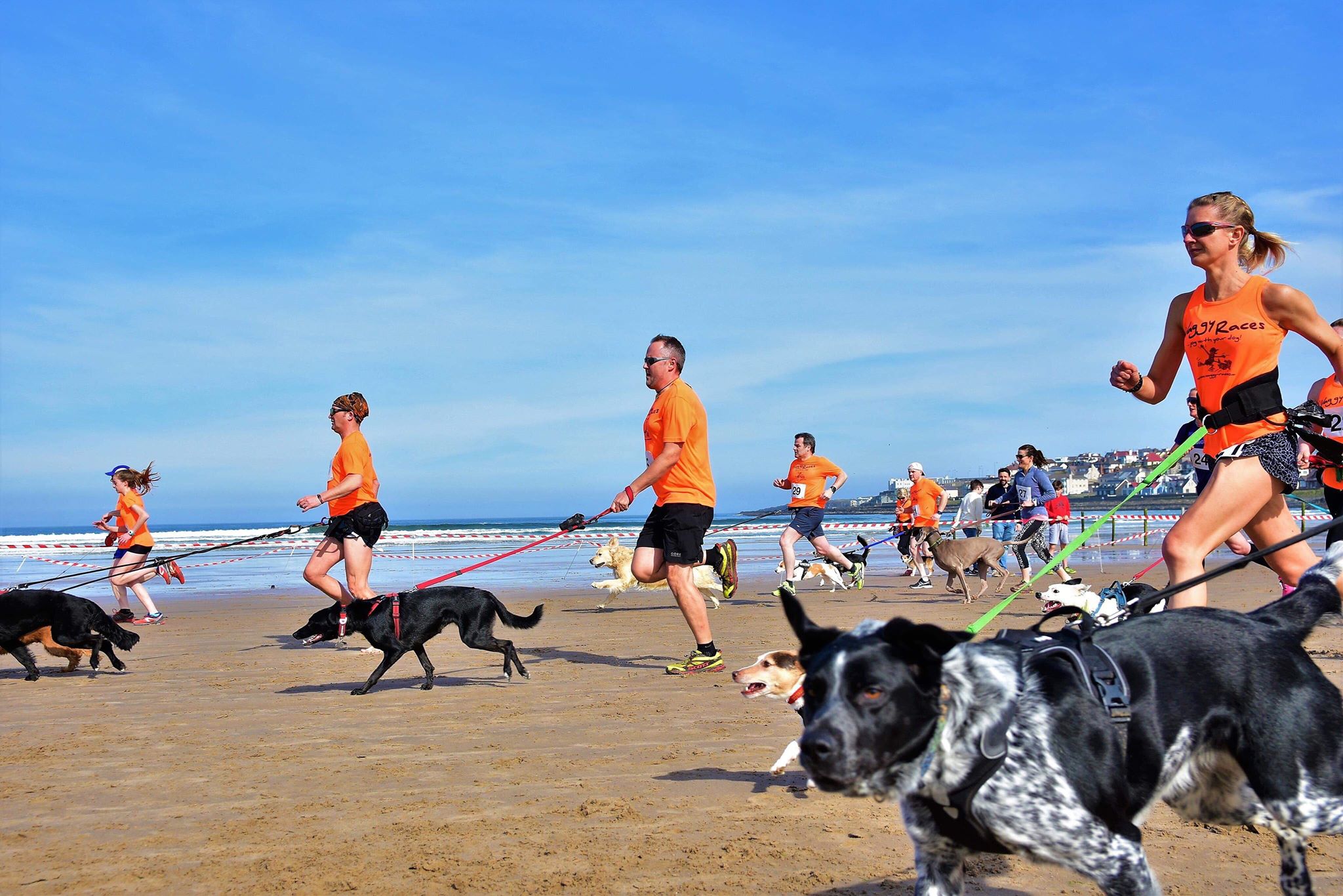 There's a 5k 'jog with your dog' race happening in Portstewart this ...