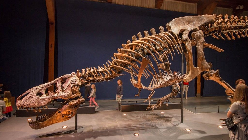 T-rex skeleton arrives in Glasgow on European tour | News - West FM