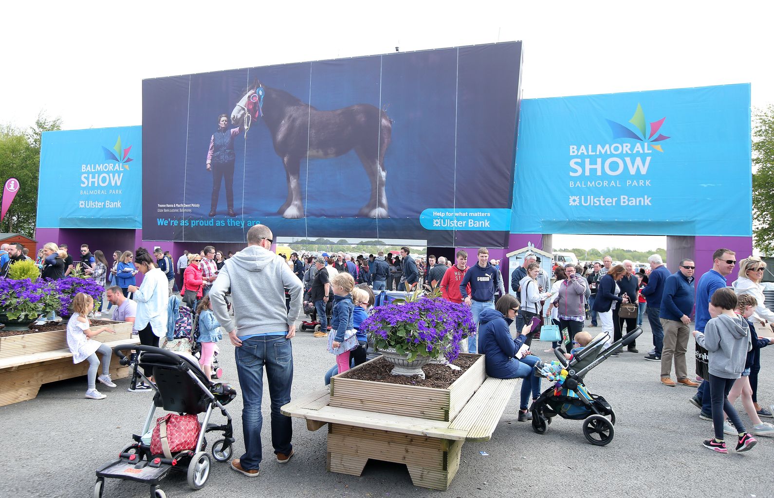 WATCH: Balmoral show: Organisers expecting more than 115,000 visitors ...