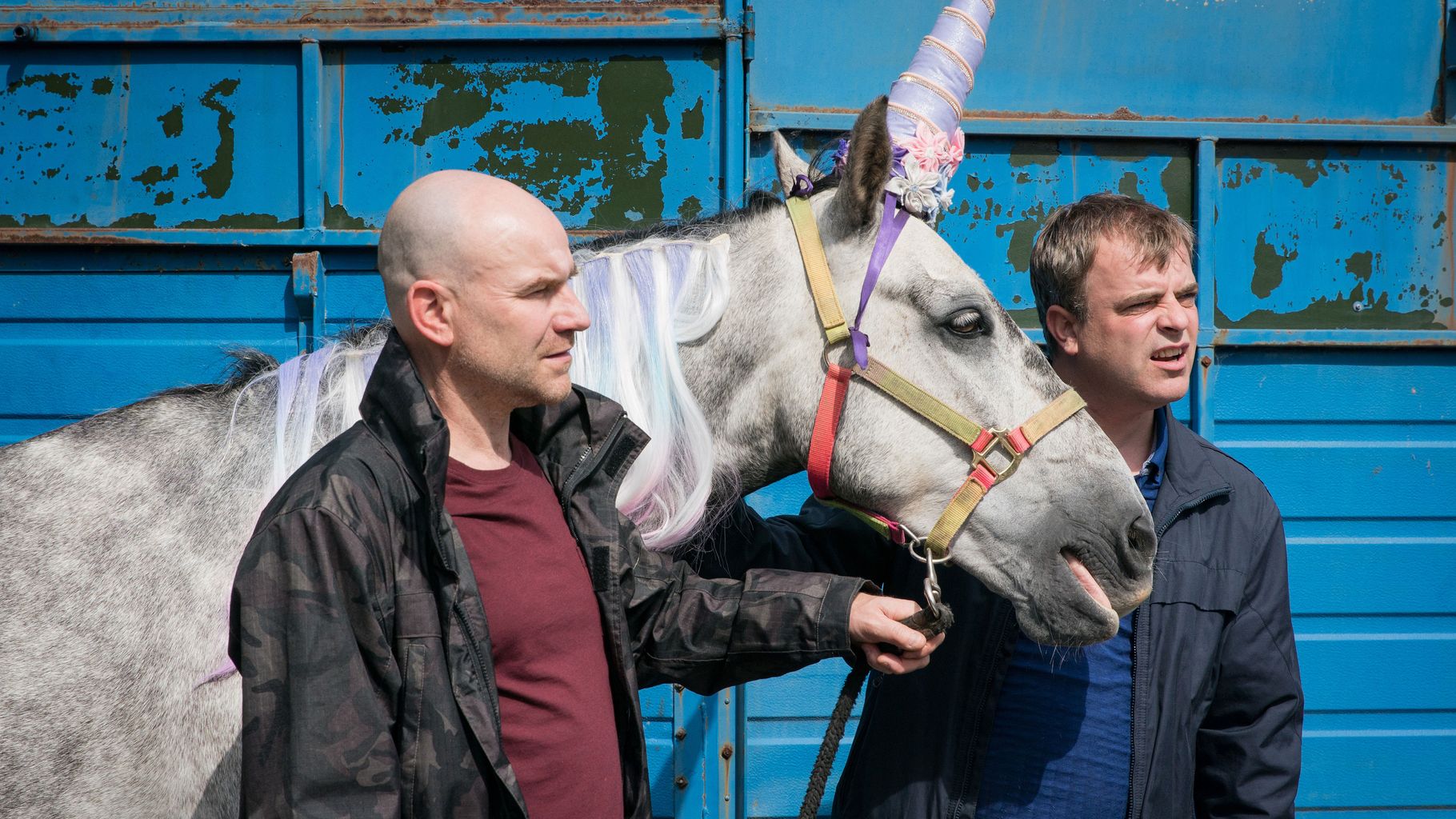 Coronation Street spoilers: The secret's out of the horse box for Steve ...
