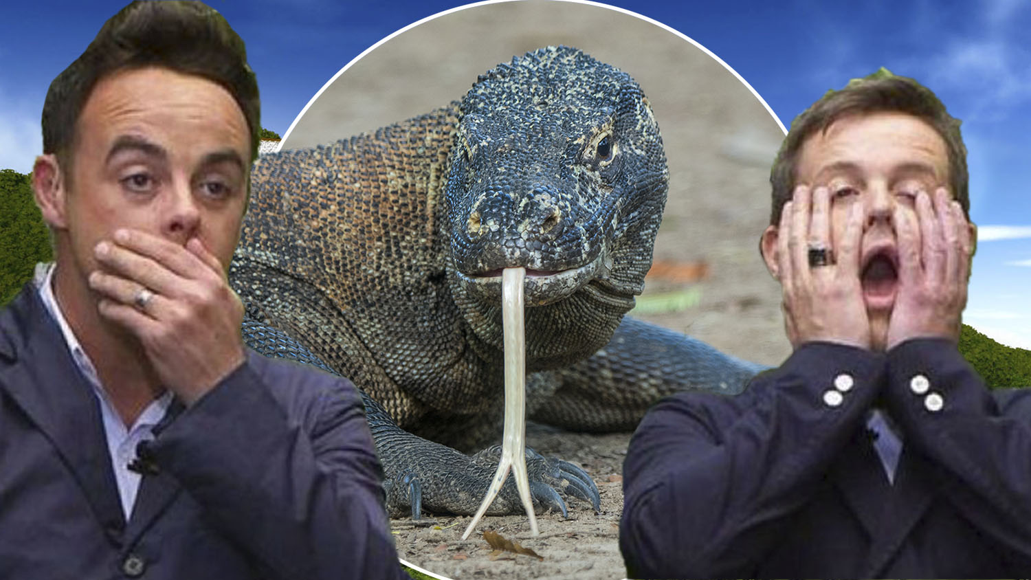 I'm A Celebrity camp invaded by potentially fatal Goanna