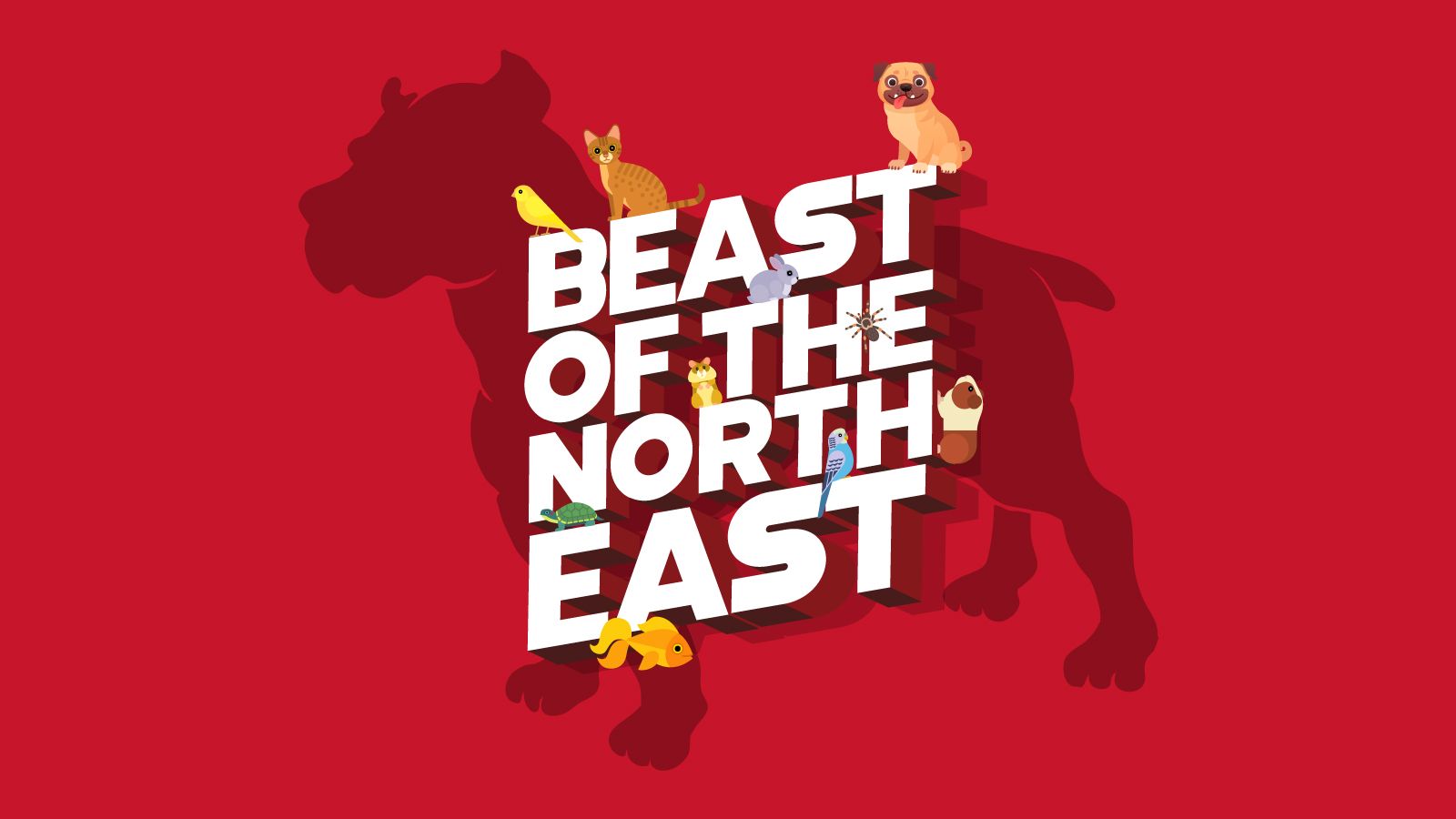 Beast of the North East | Local - Hits Radio (North East)