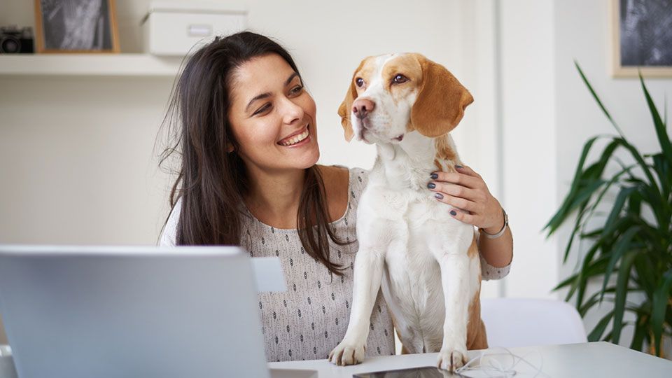 Best pics of Hits Radio listeners working from home with their pets