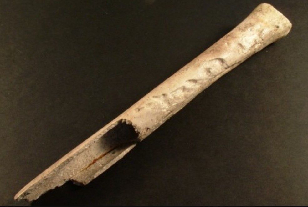 STONEHENGE: Bones of dead relatives turned into musical instruments ...