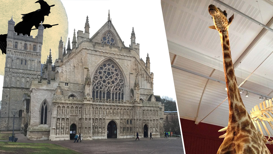 Exeter Cathedral Facts