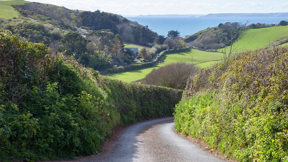 12 things you’ll relate to if you grew up in Devon