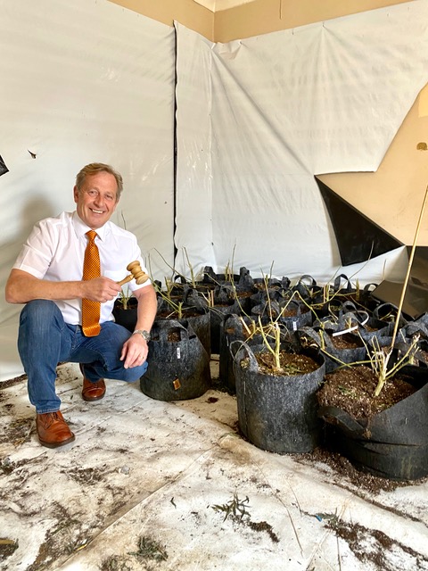 Former cannabis factory in Ipswich up for auction