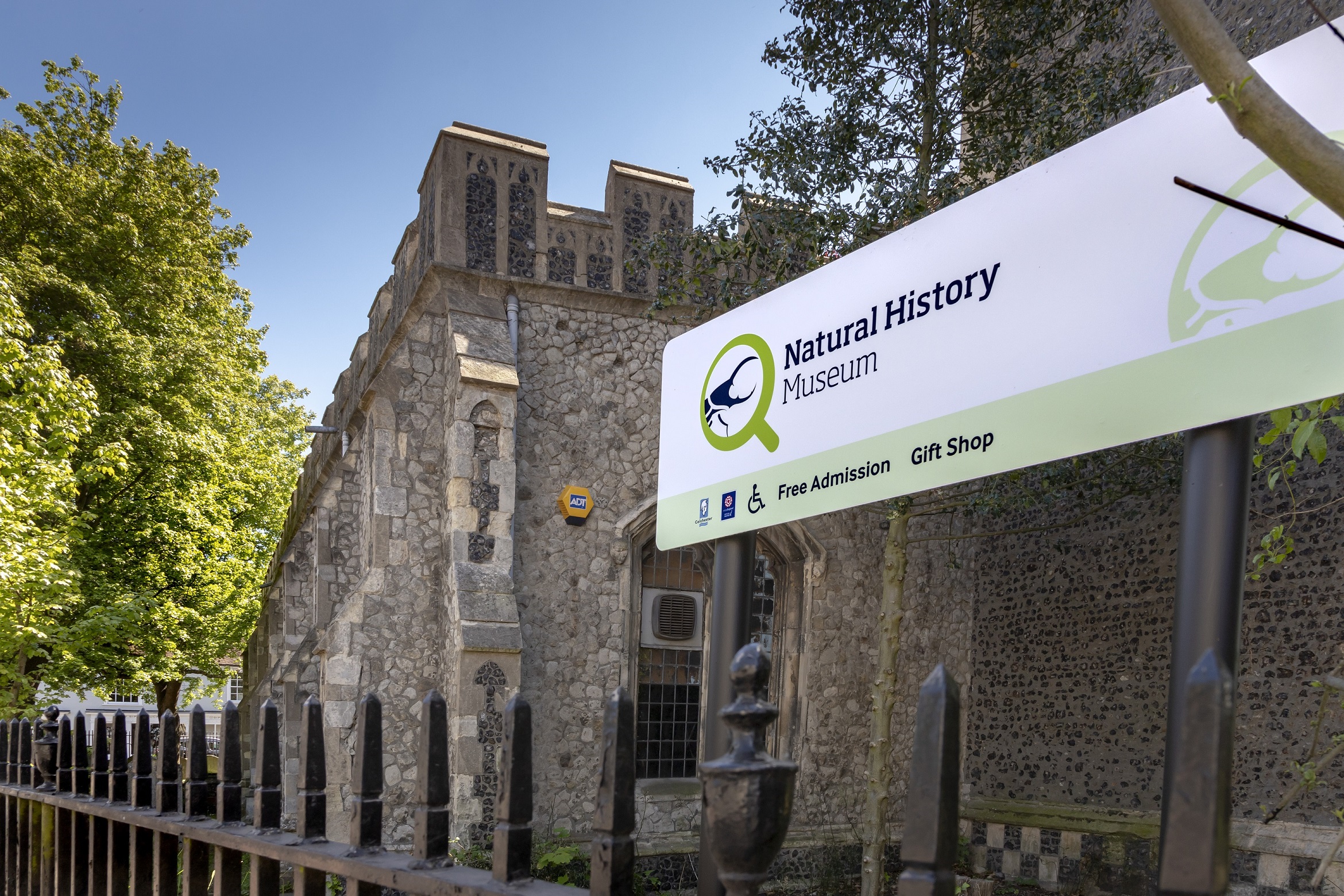 Colchester's Natural History Museum to open for the first time during ...