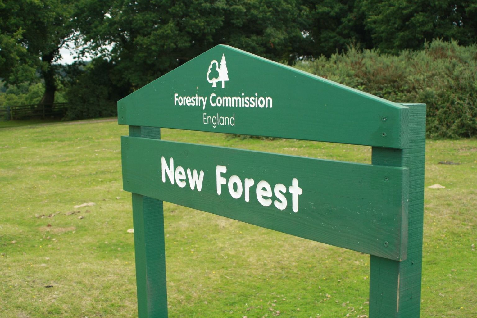 Respect the New Forest this half term, ask National Park Authority ...