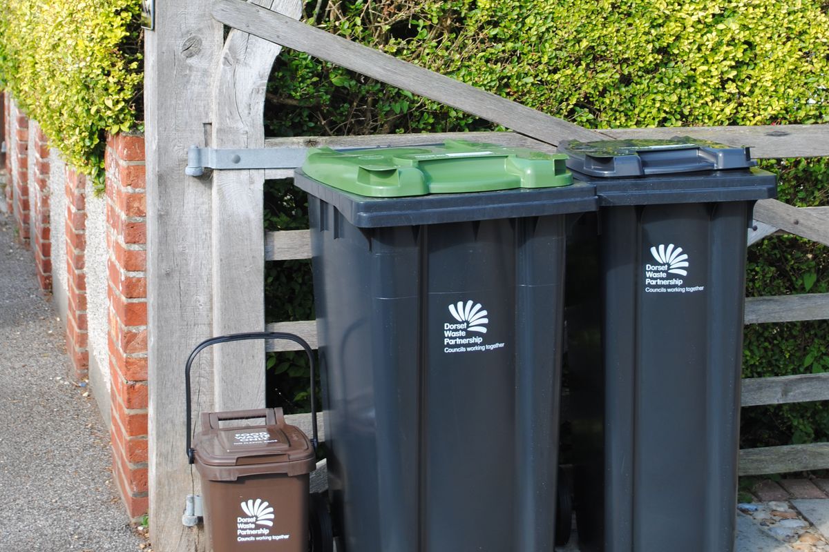 Dorset Council spending £187,000 a year teaching us to use the right ...