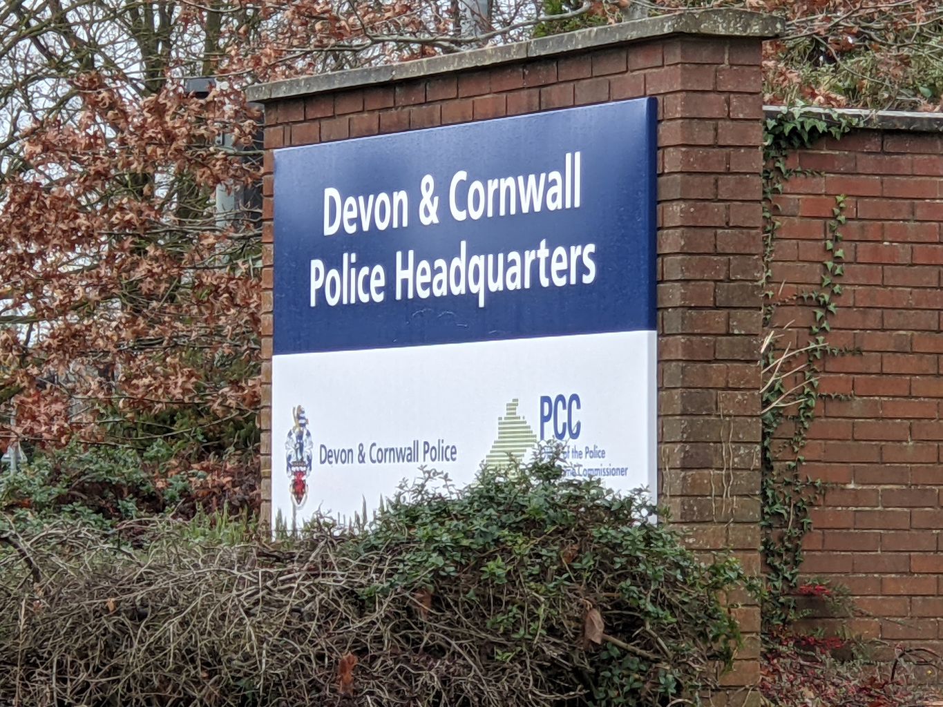 Devon driver jailed after paralysing teenager