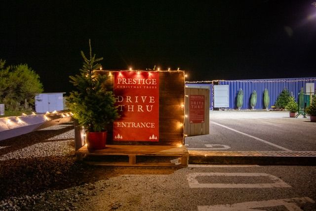 Cornwall's first ever Christmas tree drive-thru launches in Newquay ...