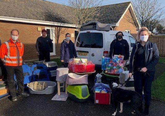 Cornish kindness praised by animal charity after rise in rescue ...