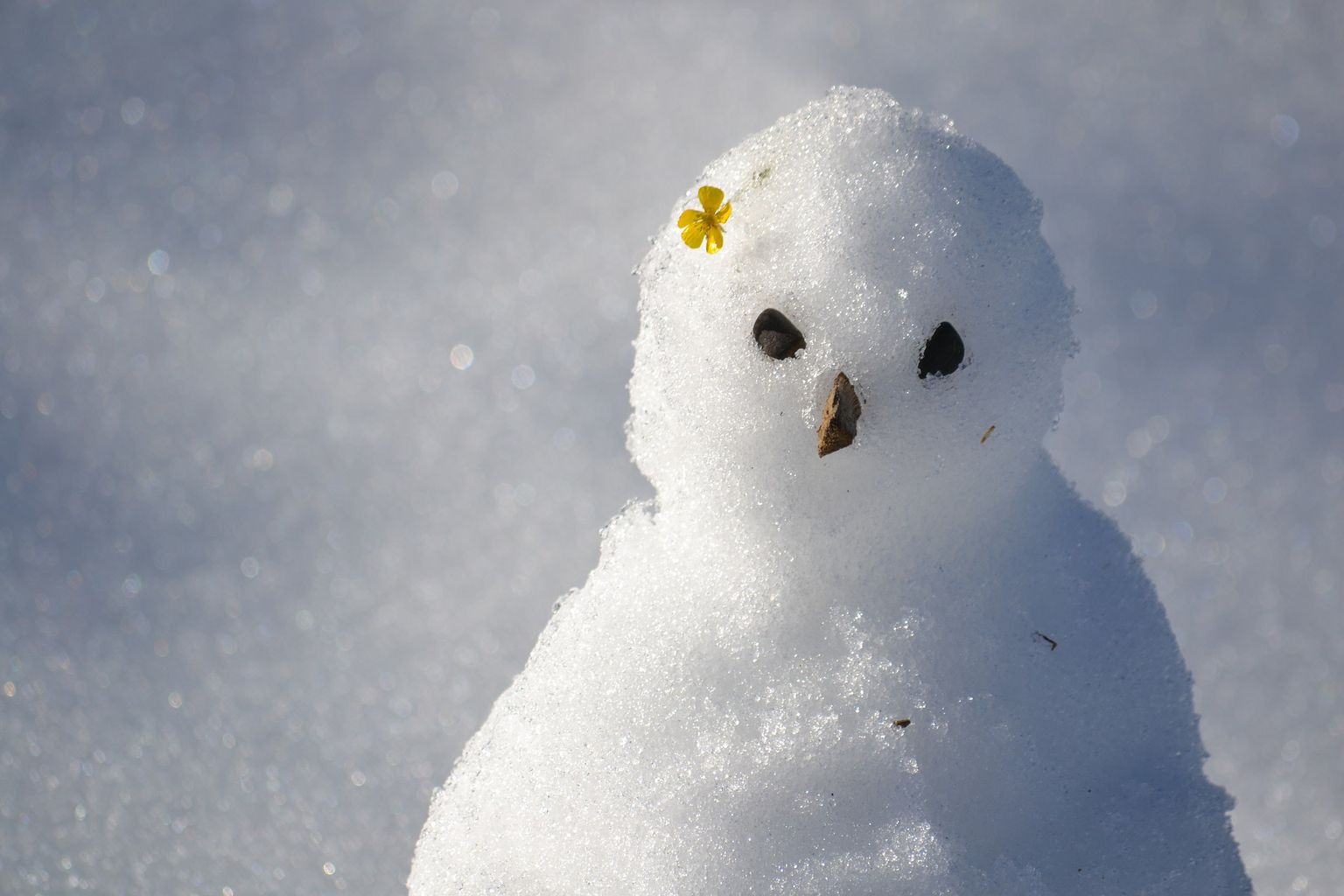 “If it does snow, how many snowmen are allowed in my garden?” | News ...
