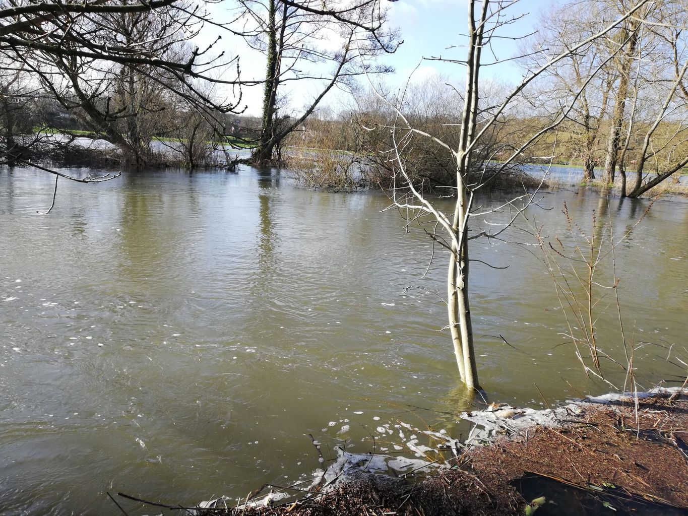 Flood Alert issued for River Blackwater on Wiltshire/Hampshire border ...