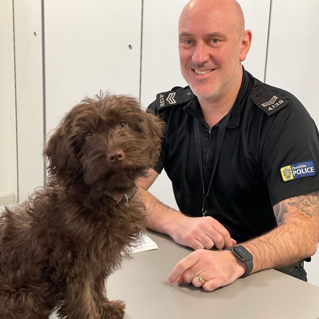 Cheshire Police's first ever well-being dog is helping officers mental ...