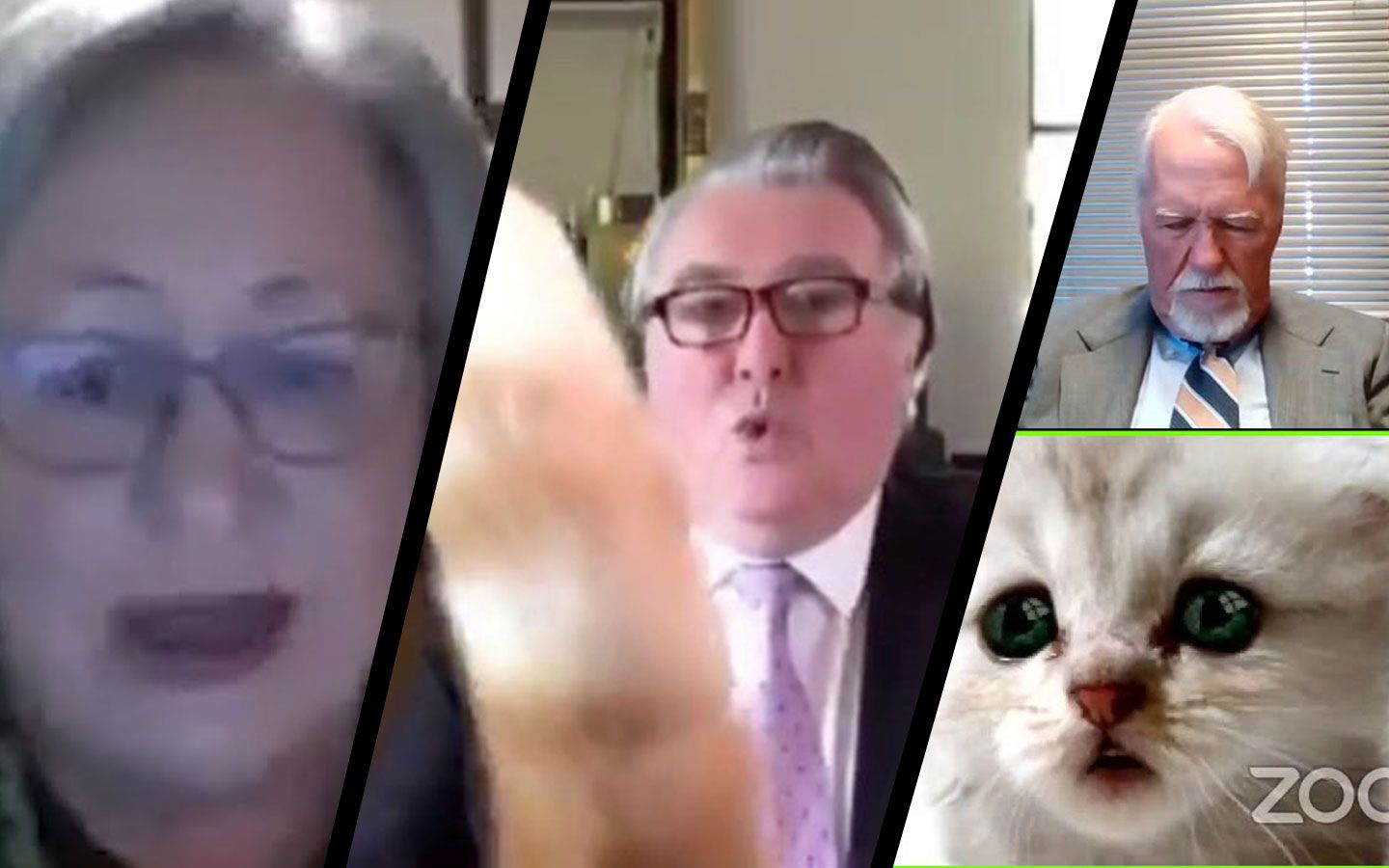 Here are some of the BEST video call fails during lockdown