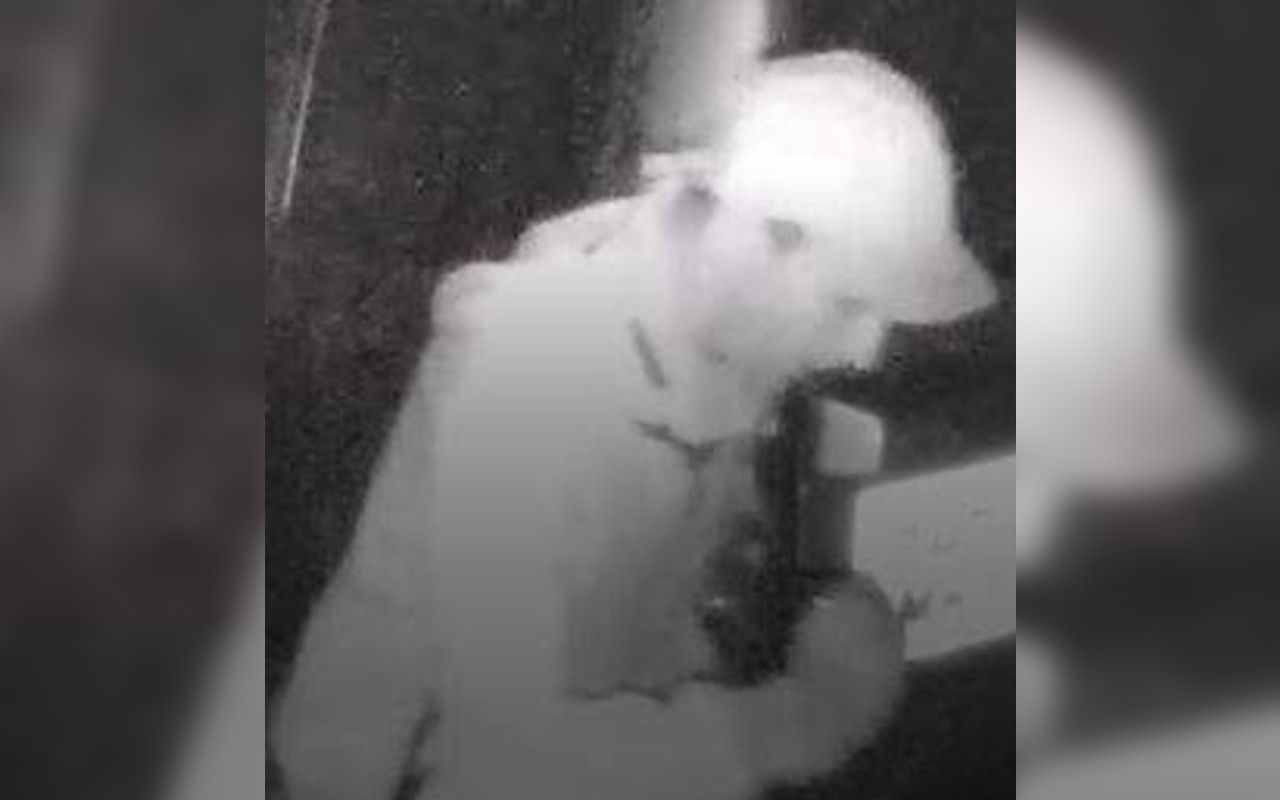 CCTV of suspected Salisbury milk thief | News - Greatest Hits Radio ...