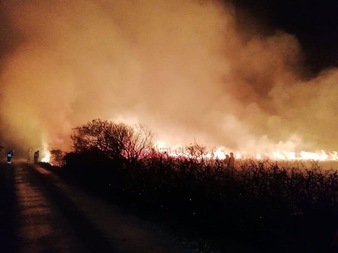 Patrols are carried out as another big gorse fire breaks out on the ...