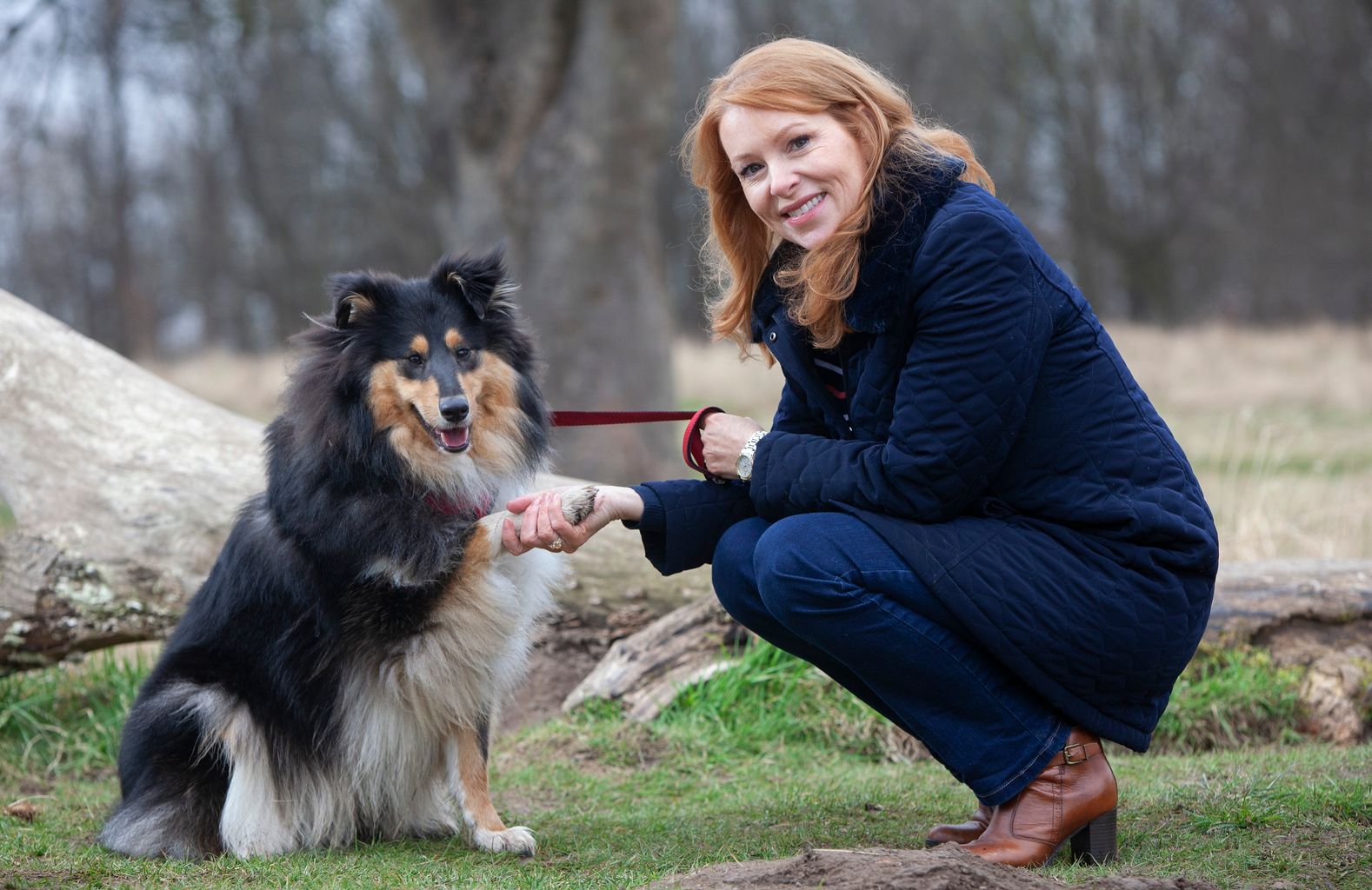Campaign urges Scots dog owners to keep their pets under control