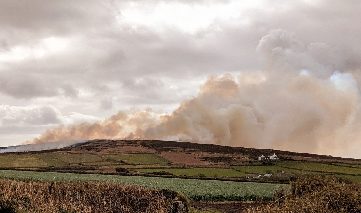 Scale of devastation caused by huge gorse fire at nature reserve in ...