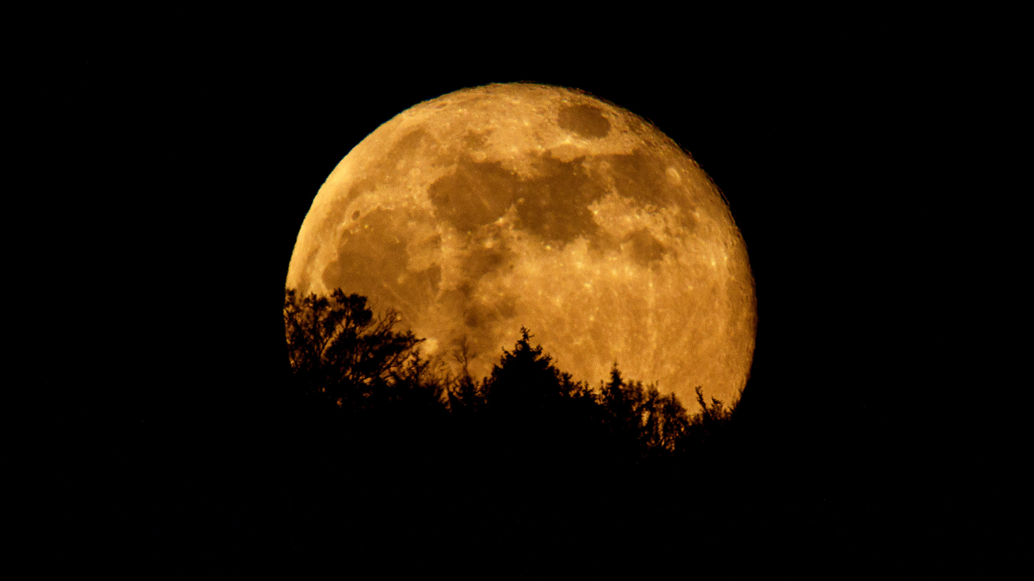 The biggest Super Moon of the year will be visible on Wednesday 26th May