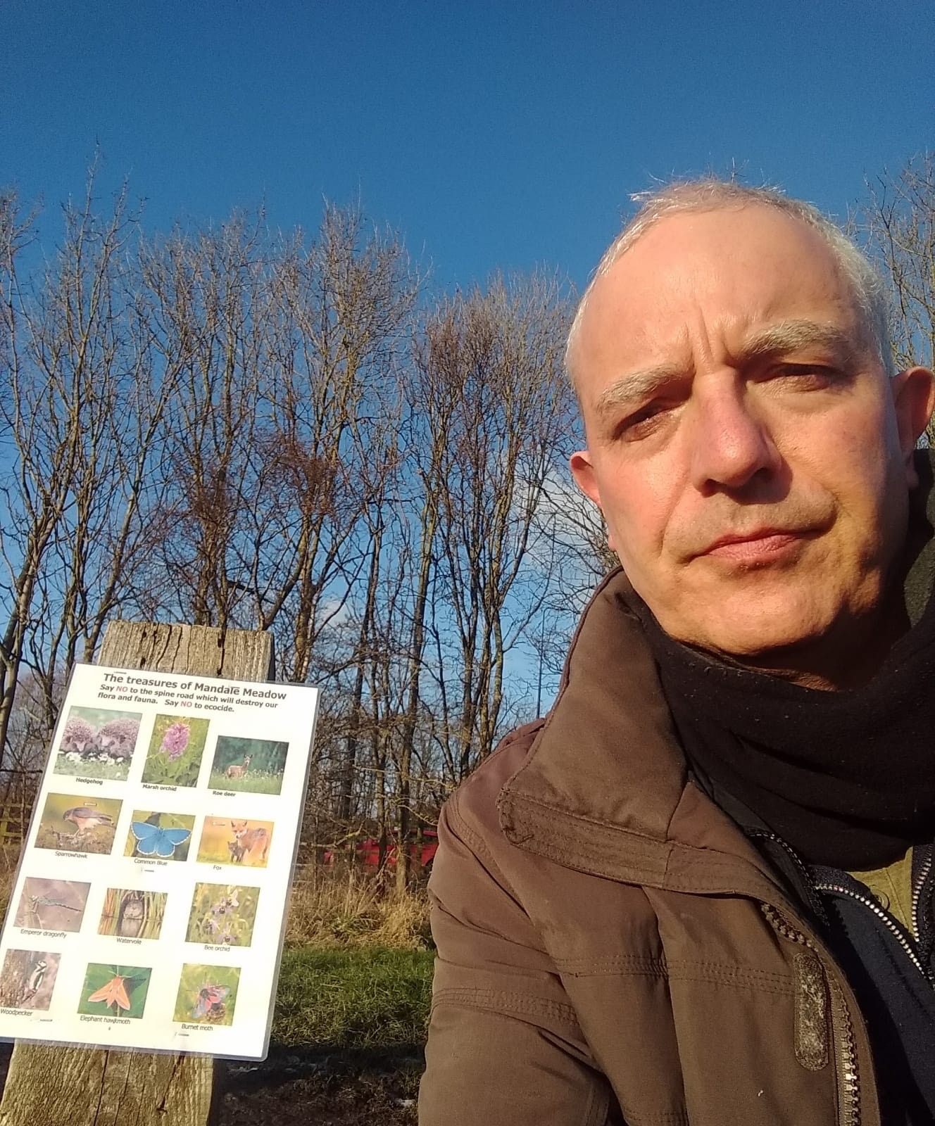 Middlesbrough Carbon