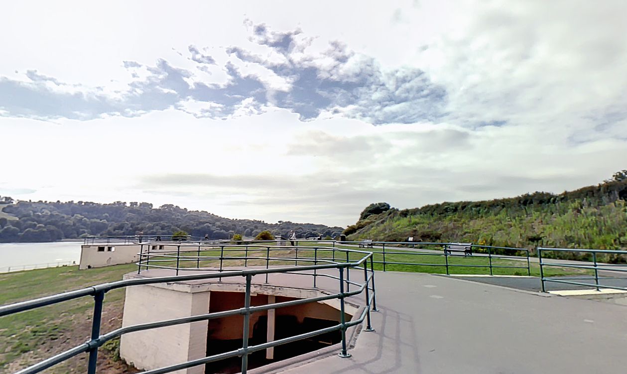 Devil's Point could be transformed with beautiful new blossom trees ...