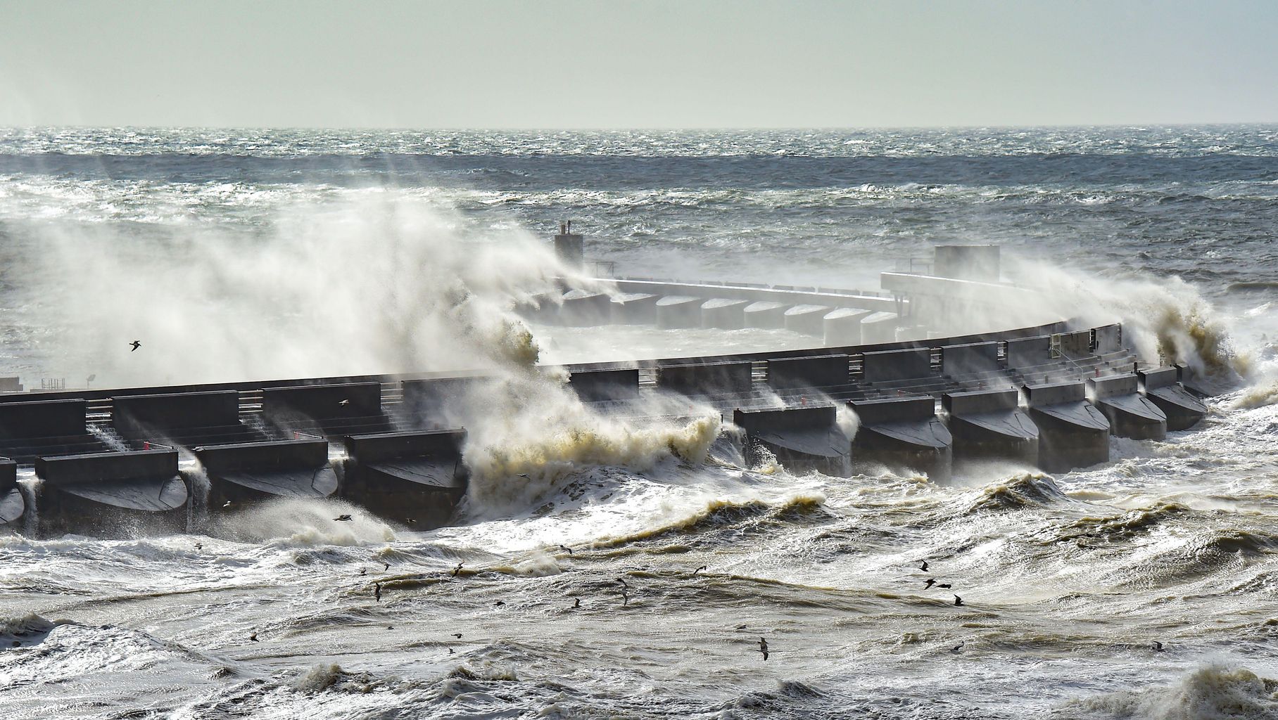 South Coast set for strong winds following Met Office weather warning ...