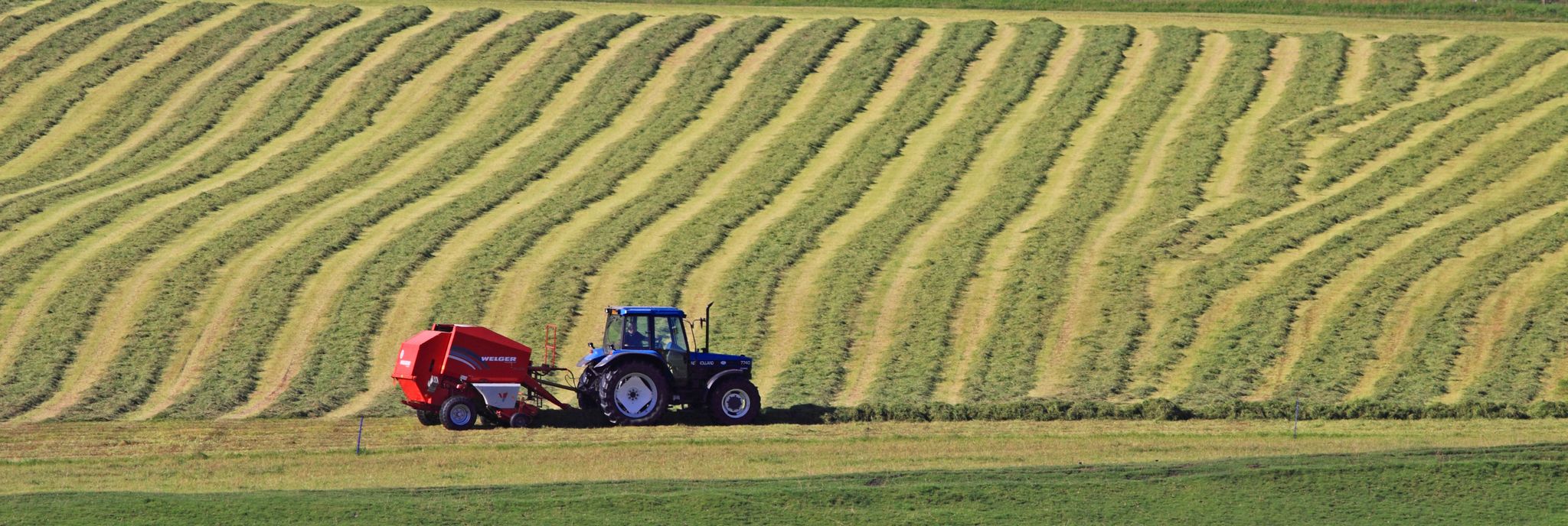 Stress and fatigue most likely to cause farming accidents