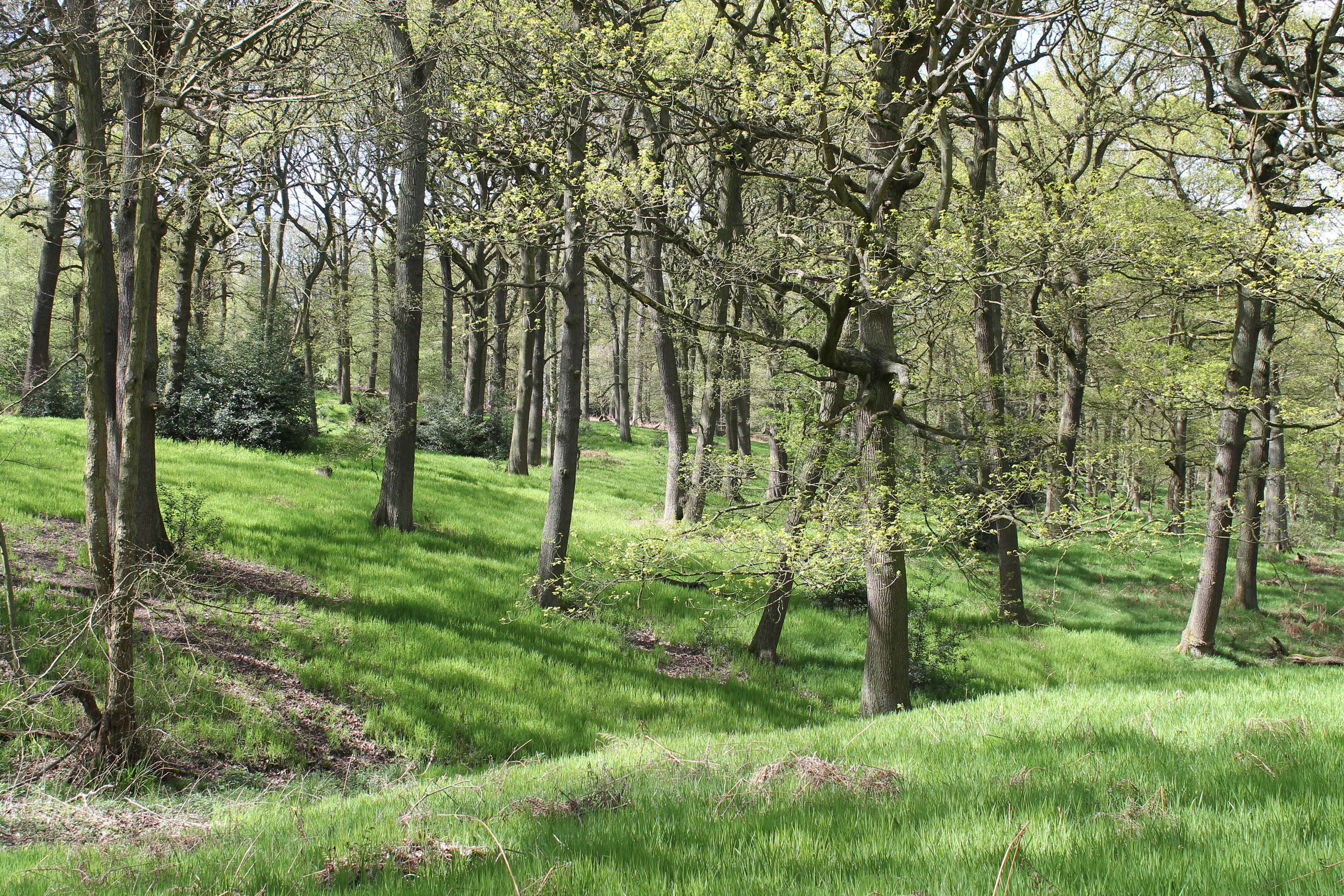 Environmental Projects Council Supports New Fund For Canterbury