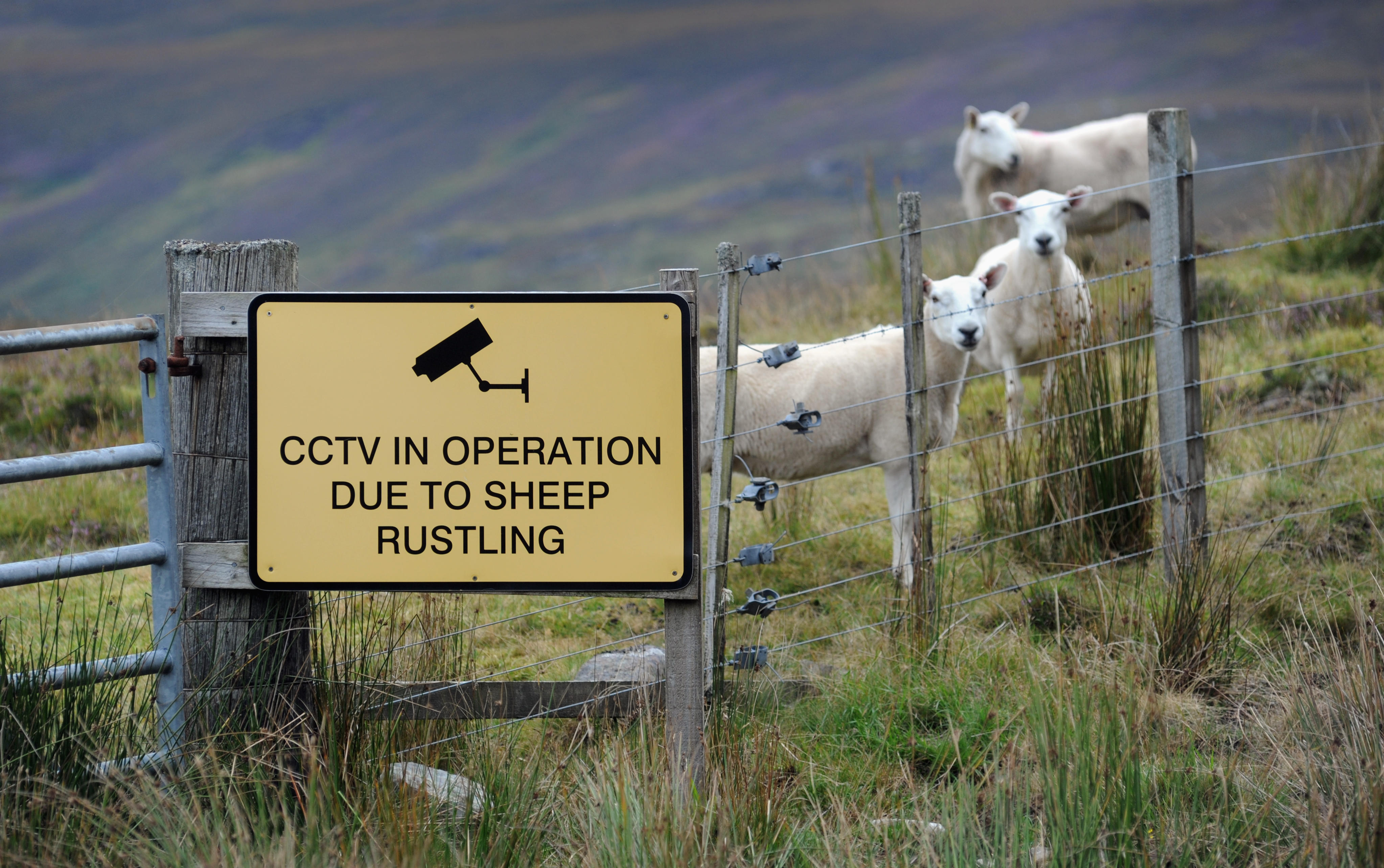 Rural crime gangs in North Yorkshire "more sophisticated than ever ...