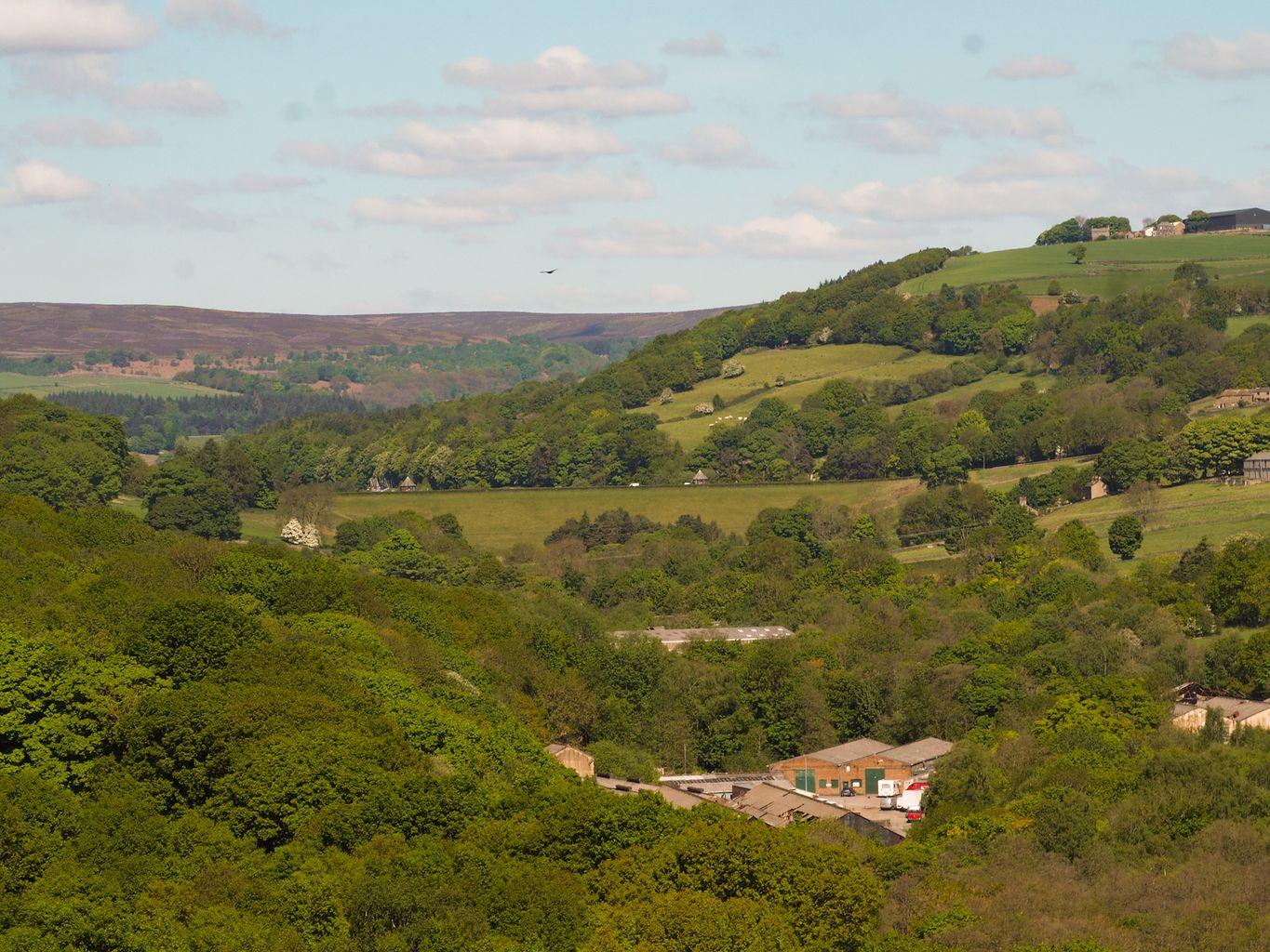 Campaigners win bid to stop big development in Sheffield's Loxley ...