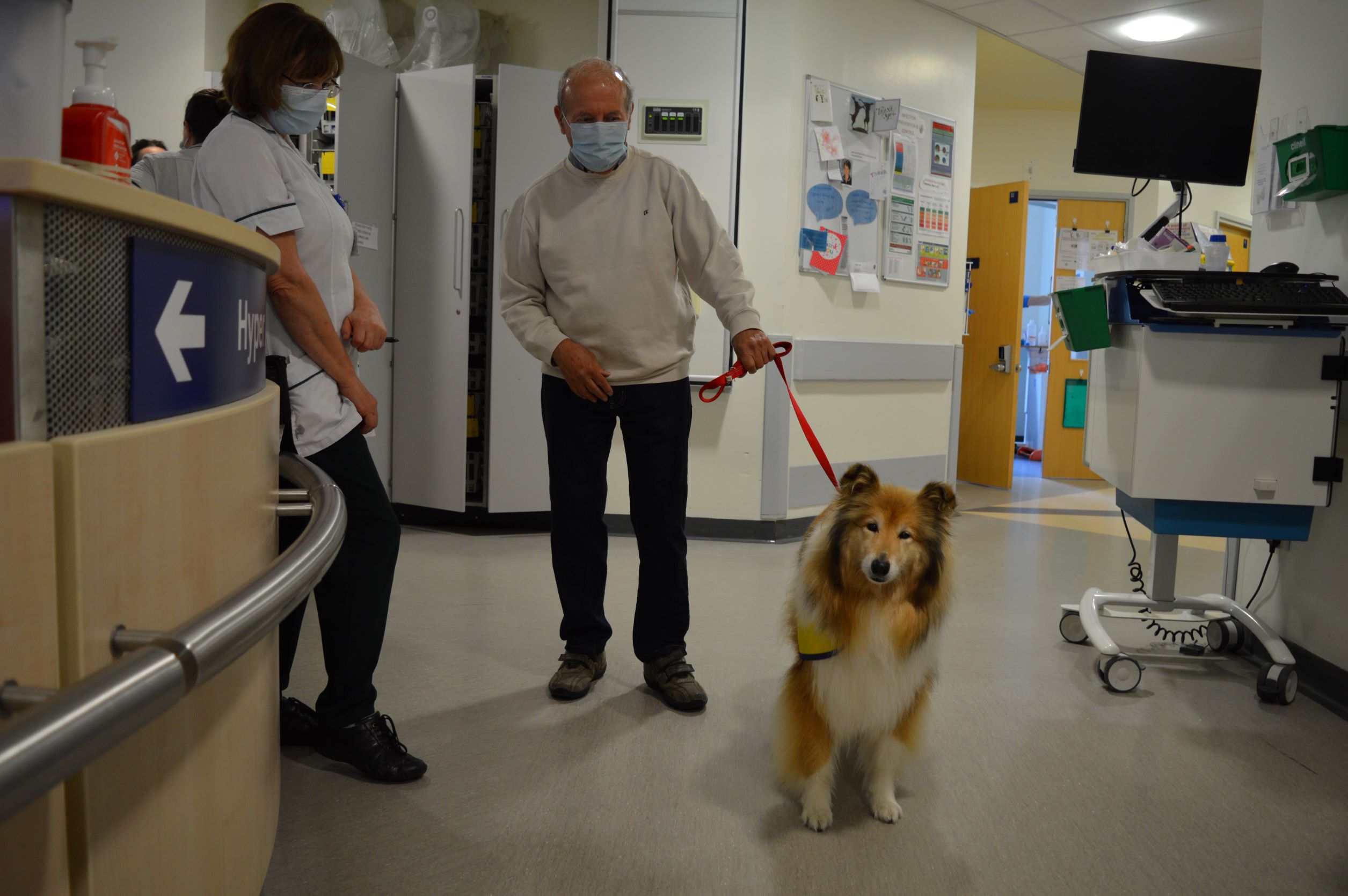 PAT dogs return to NNUH