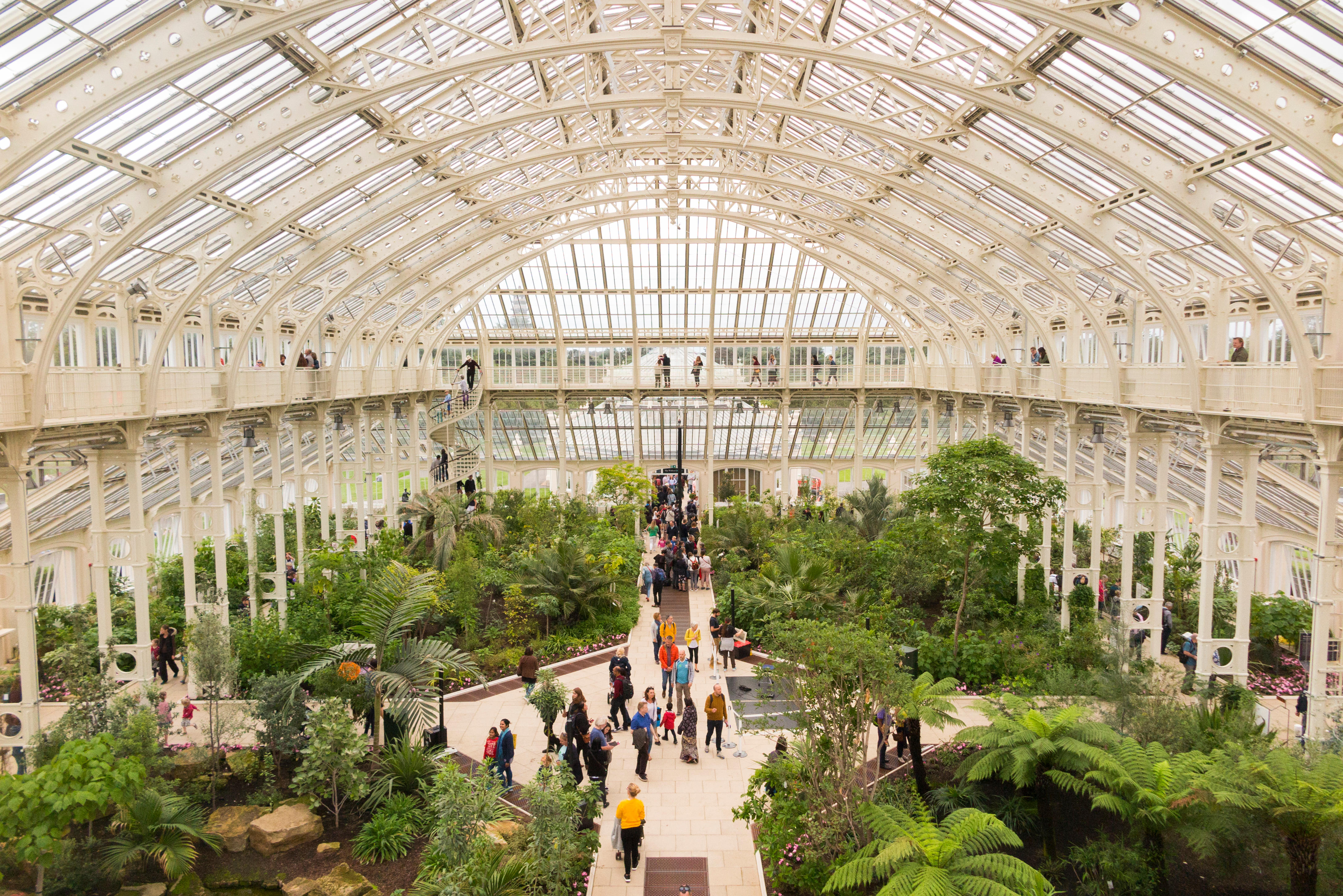 Kew Gardens breaks Guinness World Record for its plant collection