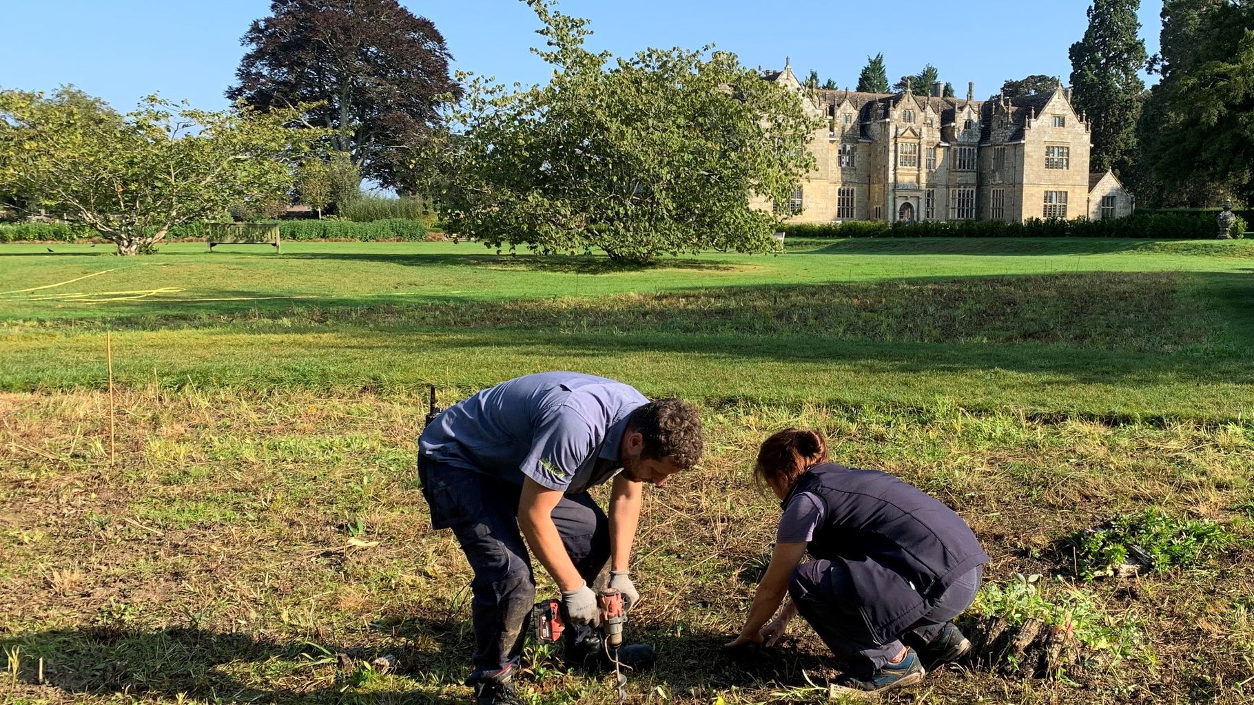 Work starts on American prairie at Wakehurst | News - Greatest Hits ...
