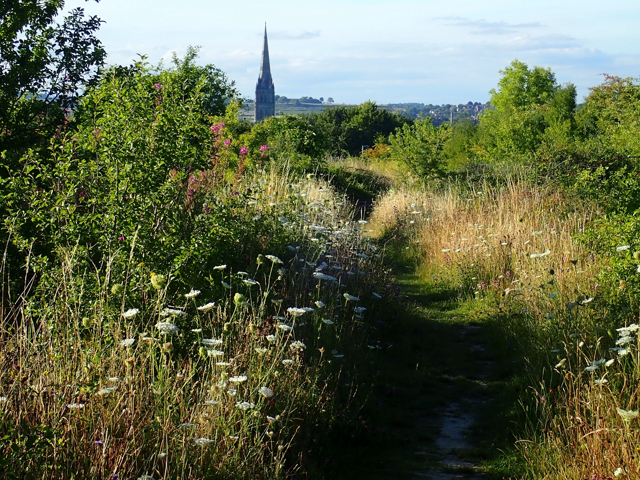 Competition success for two of Salisbury's open spaces