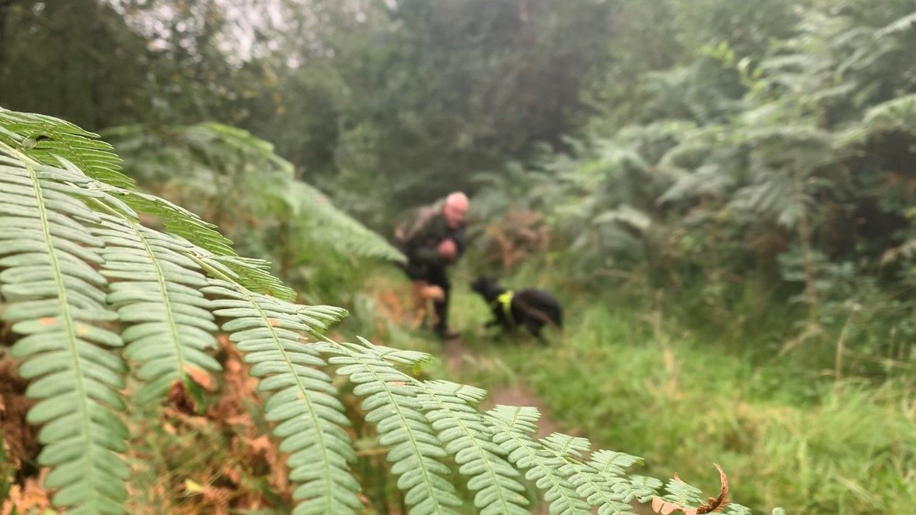 Importance of Lincolnshire volunteer search and rescue dogs highlighted ...