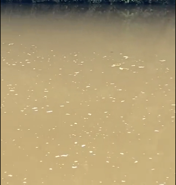 Sewage leaks into Swindon river after broken pipe